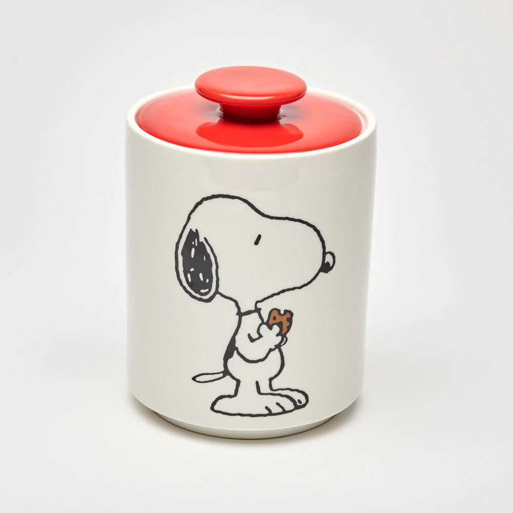 Peanuts Snoopy Cookie Jar – Cherry Vintage Chichester